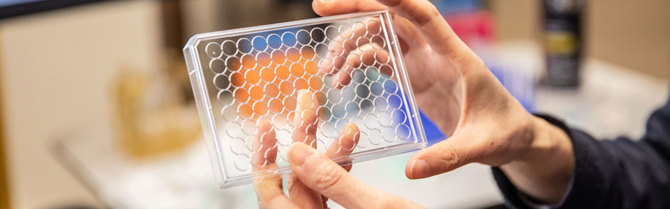 Swedish Cancer Institute - Swedish Hospital Foundation